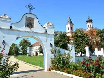 Info – Opština Surčin