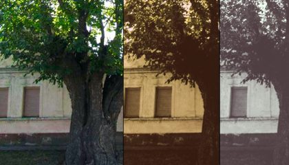 Општина Сурчин